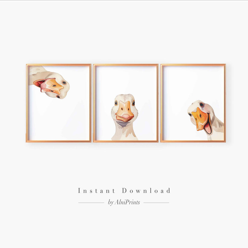 Peeking Goose Gallery art print- Set of 3 – AlniPrints